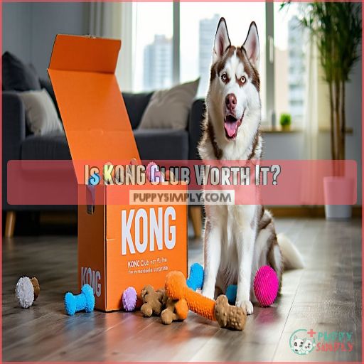 KONG Box Review 2024: Top Dog Subscription - is It Worth It?