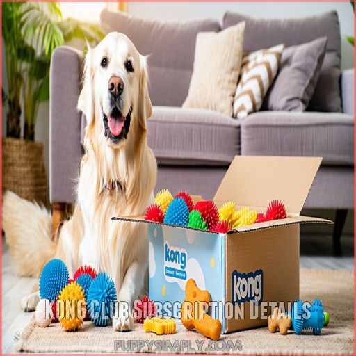KONG Box Review 2024: Top Dog Subscription - is It Worth It?