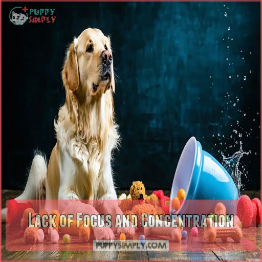 Male Dogs Behavior Around Female in Heat: 9 Signs & Solutions to Know