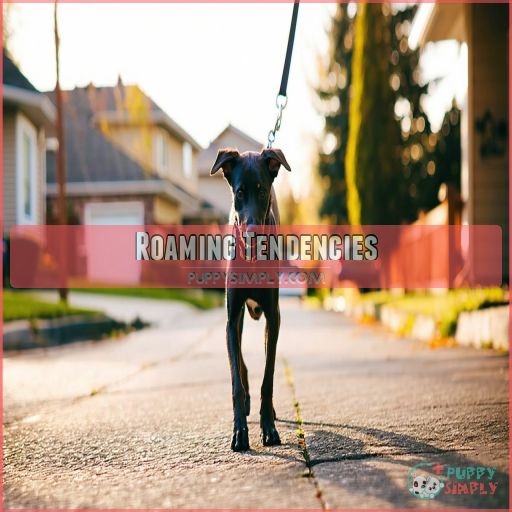 Male Dogs Behavior Around Female in Heat: 9 Signs & Solutions to Know