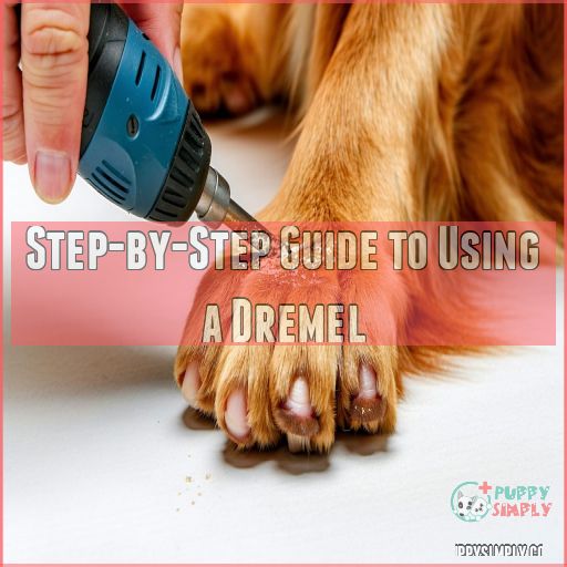 Dog Nail Trimming How to Do It Without Causing Pain: Vet-Approved Tips