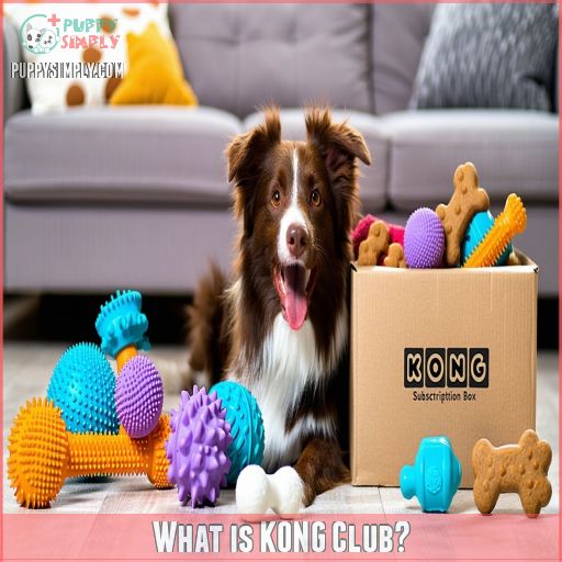 KONG Box Review 2024: Top Dog Subscription - is It Worth It?