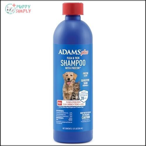 10 Best Flea Shampoos for Dogs: Vet-Reviewed Picks for 2025