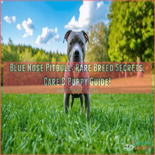 Blue Nose Pitbull: Rare Breed Secrets, Care & Puppy Guide!