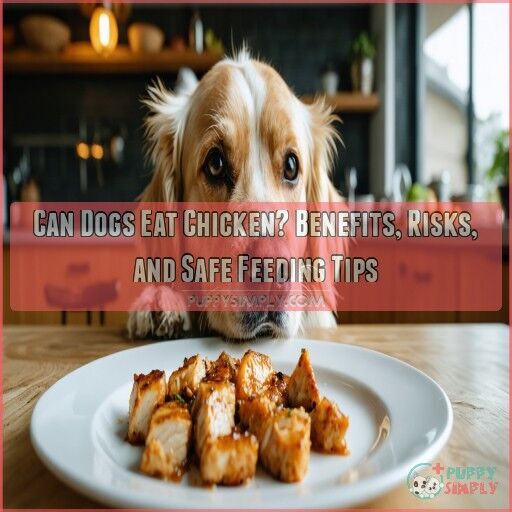 Can Dogs Eat Chicken? Benefits, Risks, and Safe Feeding Tips