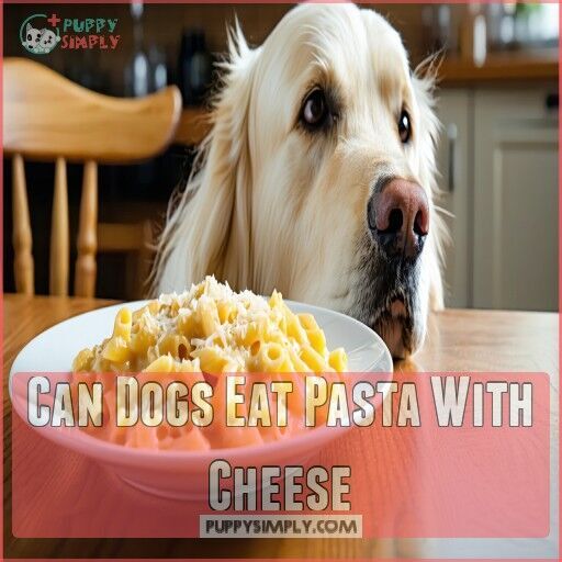 Can Dog Eat Macaroni and Cheese? The Surprising Truth Behind This ...