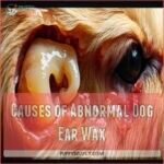 Dog Ear Wax Colors: What Different Colors Mean (+ Warning Signs to ...