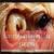 Dog Ear Wax Colors: What Different Colors Mean (+ Warning Signs to ...