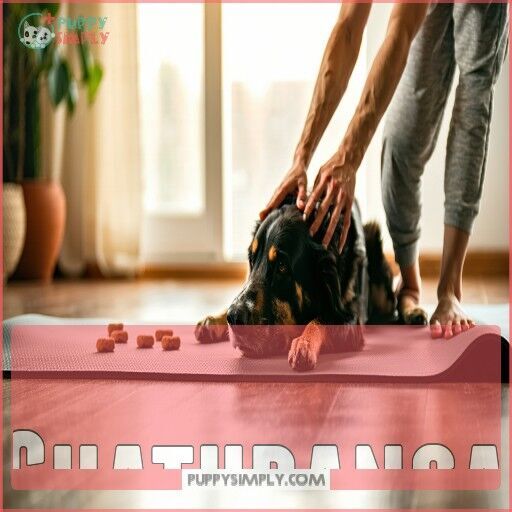 How to Teach Dog Yoga: 5 Easy Poses for a Happier, Calmer Pup (2025)