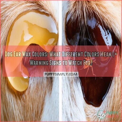 Dog Ear Wax Colors: What Different Colors Mean (+ Warning Signs to ...