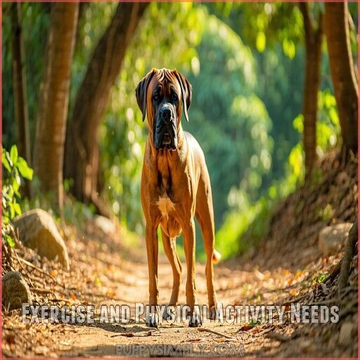 South African Boerboel: a Powerful Guardian Dog Breed You Need to Meet ...