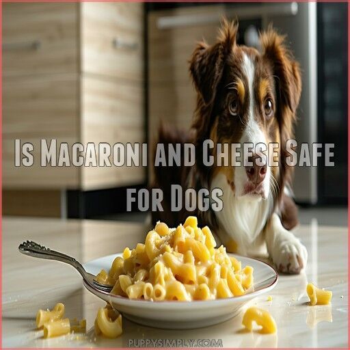 Can Dog Eat Macaroni and Cheese? The Surprising Truth Behind This ...