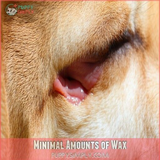 Dog Ear Wax Colors: What Different Colors Mean (+ Warning Signs to ...