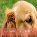 Dog Ear Wax Colors: What Different Colors Mean (+ Warning Signs to ...