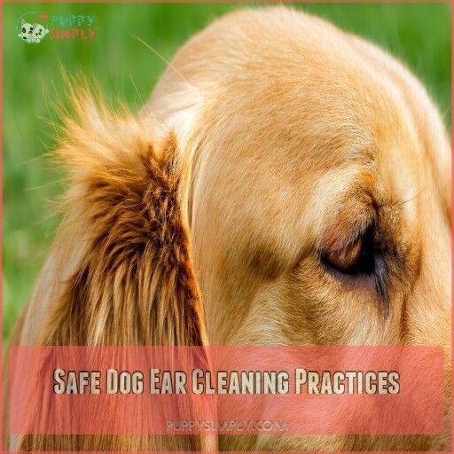 Dog Ear Wax Colors: What Different Colors Mean (+ Warning Signs to ...