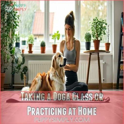 How to Teach Dog Yoga: 5 Easy Poses for a Happier, Calmer Pup (2025)