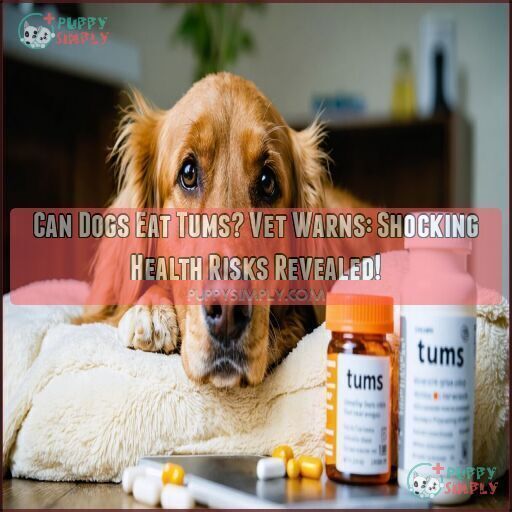 Can Dogs Eat Tums? Vet Warns: Shocking Health Risks Revealed!