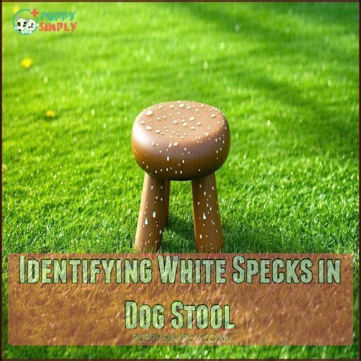 White Specks in Dog Poop: Causes, Symptoms, and When to See a Vet