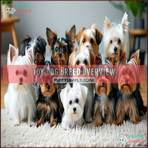 Toy Dog Breeds: 10 Tiny Pups That Will Steal Your Heart in 2025