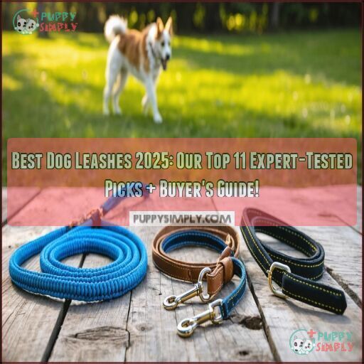 Best Dog Leashes 2025: Our Top 11 Expert-Tested Picks + Buyer's Guide!