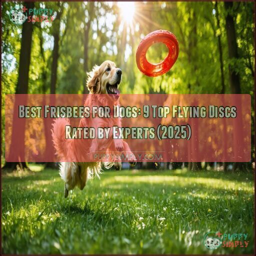 Best Frisbees for Dogs: 9 Top Flying Discs Rated by Experts (2025)