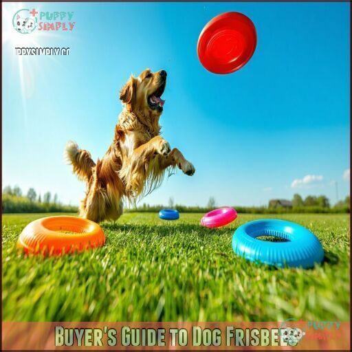 Best Frisbees for Dogs: 9 Top Flying Discs Rated by Experts (2025)