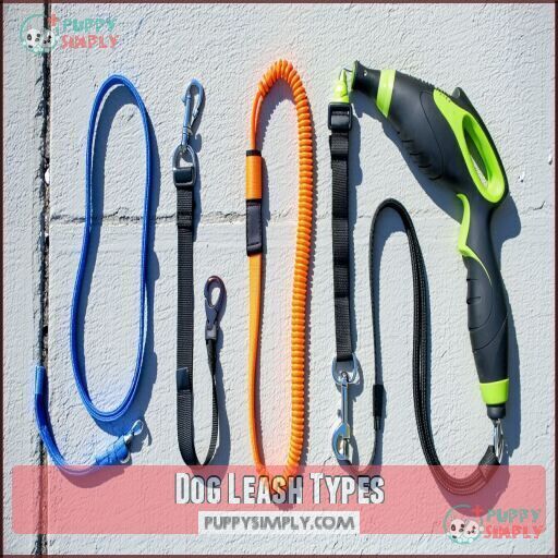 Best Dog Leashes 2025: Our Top 11 Expert-Tested Picks + Buyer's Guide!