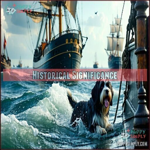 Best Boat Dogs: Top Breeds Perfect for Life on Water