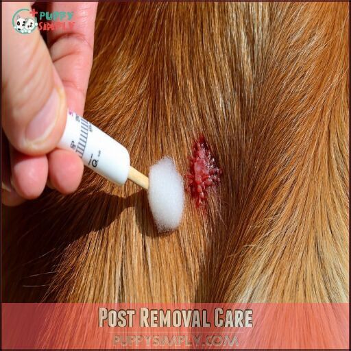 How to Pull a Tick Off a Dog Safely: Step-by-Step Guide