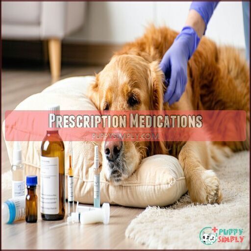How to Kill Ear Mites in Dogs: Symptoms, Treatments, and Prevention