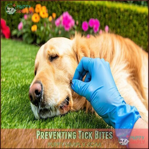 How to Pull a Tick Off a Dog Safely: Step-by-Step Guide