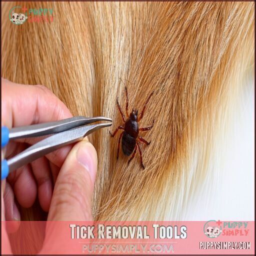 How to Pull a Tick Off a Dog Safely: Step-by-Step Guide