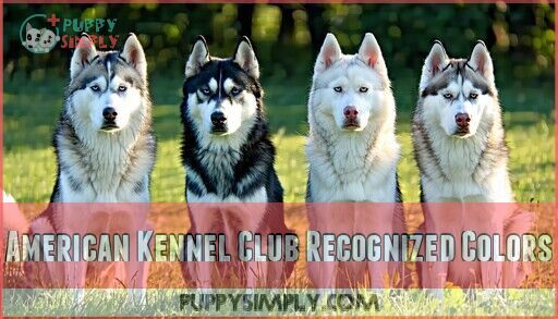 Husky Colors: Rare & Standard Coats