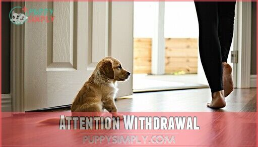 How to Discipline a Dog Properly: Effective and Humane Approaches