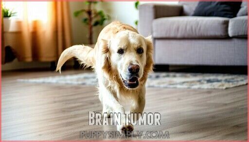 Dog Walks in Circles Disoriented? Learn Causes & What to Do