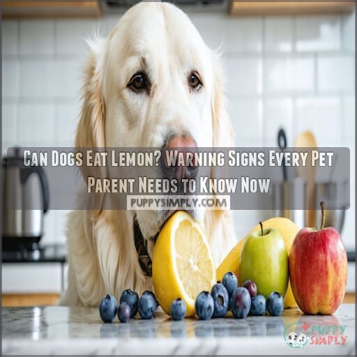 Can Dogs Eat Lemon? Warning Signs Every Pet Parent Needs to Know Now