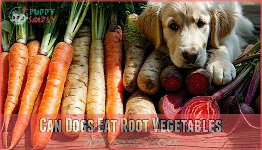 Can Dogs Eat Root Vegetables? Safe Options and Health Benefits Explained
