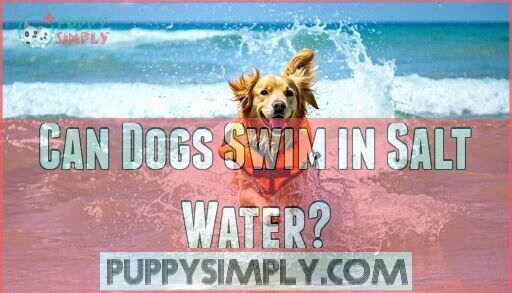 Can Dogs Swim in Saltwater Ocean? Safety Tips Every Owner Should Know!