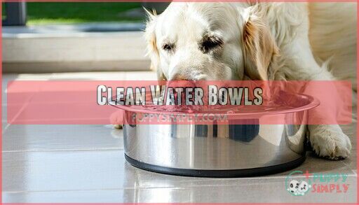 How Long Can a Dog Go Without Water? Signs, Risks & Survival Facts