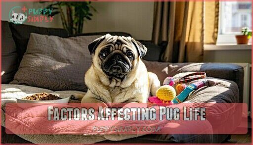 Pug Lifespan: How Long Do Pugs Live? Expert Tips to Extend Life