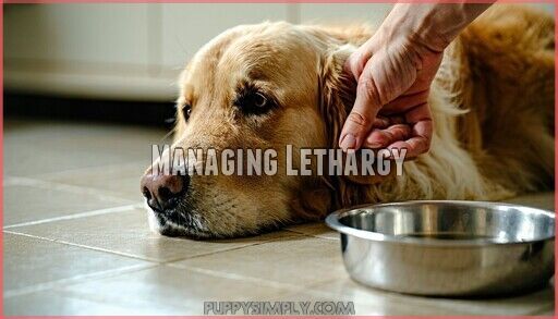 Dog Lethargic? Causes, Symptoms, and When to Call The Vet