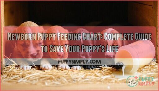 Newborn Puppy Feeding Chart: Complete Guide to Save Your Puppy's Life