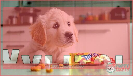 Can Dogs Eat Takis? The Shocking Truth About This Dangerous Snack!