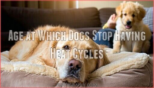 Do Dogs Stop Going Into Heat? Age, Signs & What to Expect