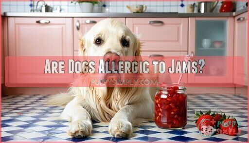Can Dogs Eat Strawberry Jam? The Sweet Truth Every Pet Owner Needs
