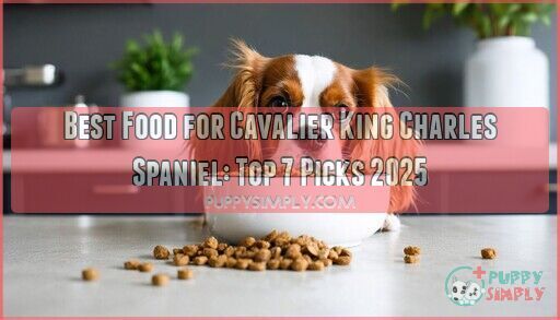 Best Food for Cavalier King Charles Spaniel: Top 7 Picks 2025