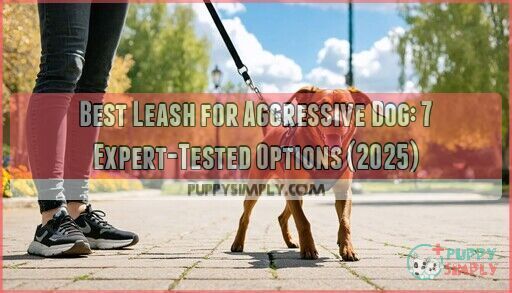 Best Leash for Aggressive Dog: 7 Expert-Tested Options (2025)