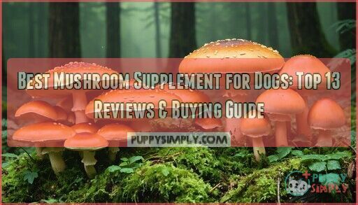 Best Mushroom Supplement for Dogs: Top 13 Reviews & Buying Guide