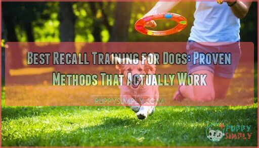 Best Recall Training for Dogs: Proven Methods That Actually Work