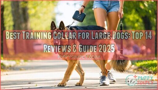 Best Training Collar for Large Dogs: Top 14 Reviews & Guide 2025